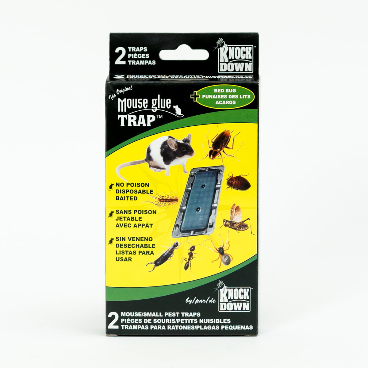 Knock Down™ Mouse Glue Trap | Laboratoire GMF
